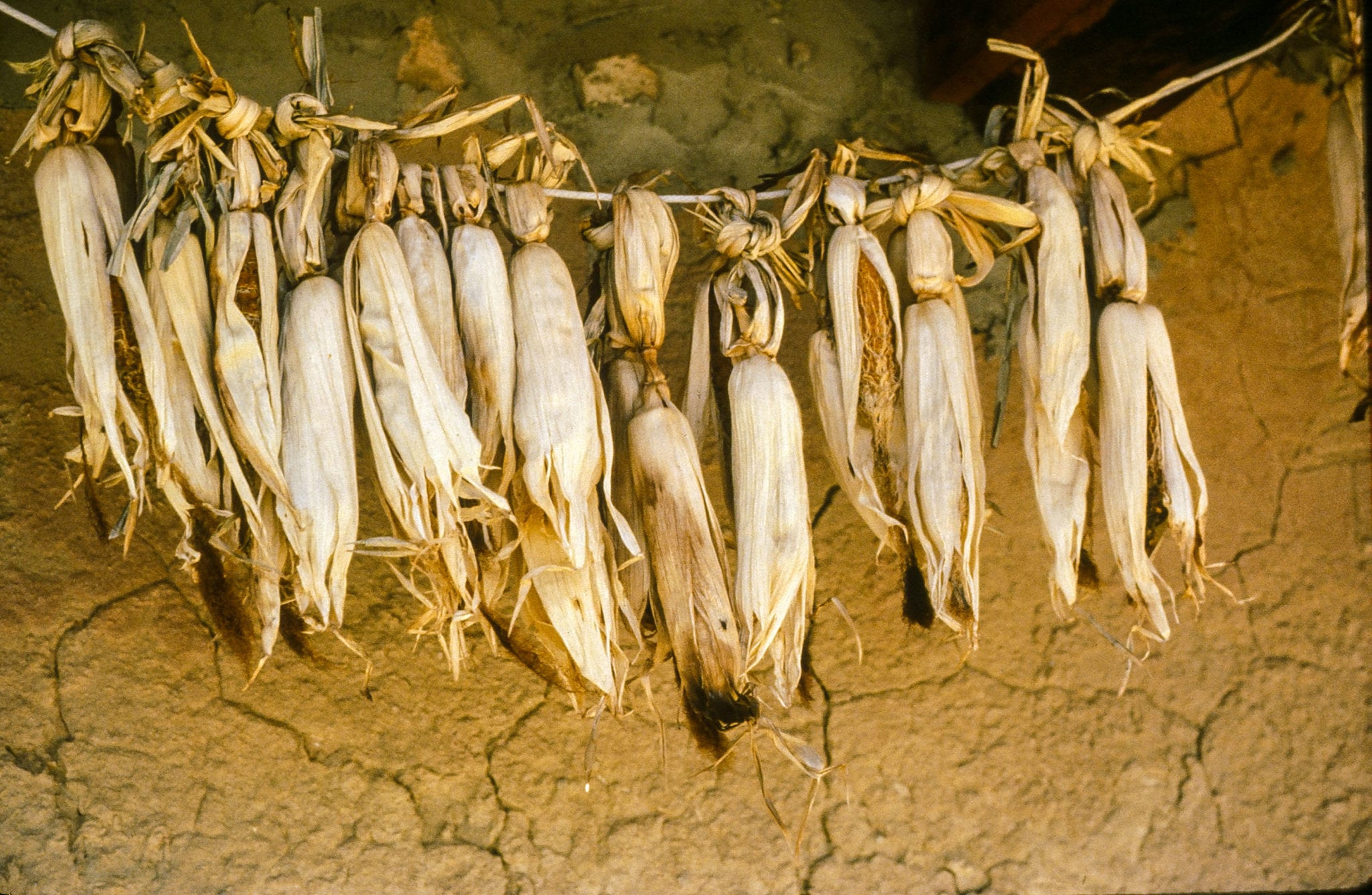 The Chef Revitalizing Native American Cuisine | Unearth Women